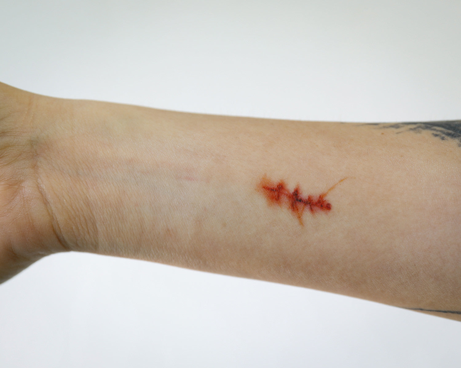 Cicatrizes e suturas B- Scars and Sutures B – Kitchen Makeup